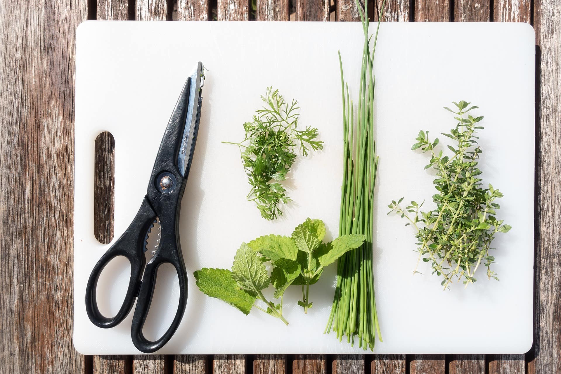 How and when to prune your herbs | Herbs at Home